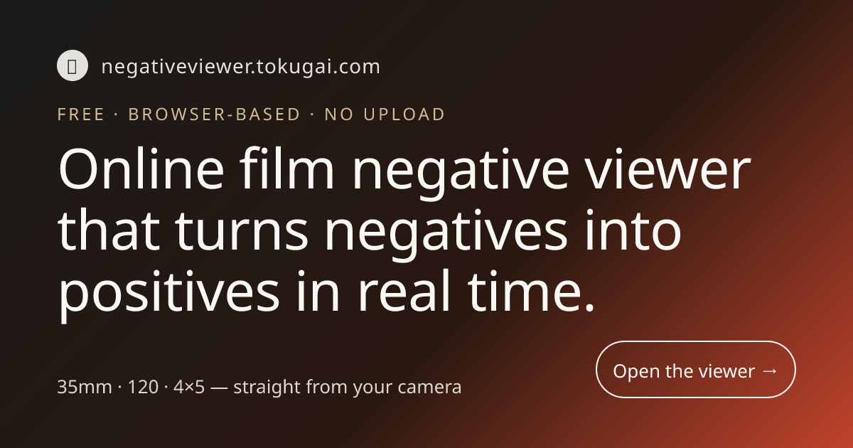Film vs. Digital Photography: A Practical Comparison (2026) | Negative ...